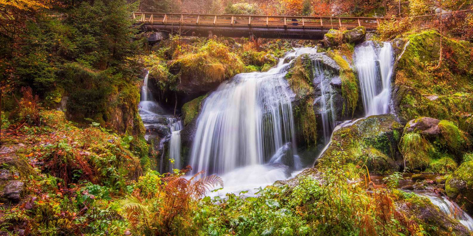 Triberg Waterfalls, Triberg - Book Tickets & Tours | GetYourGuide