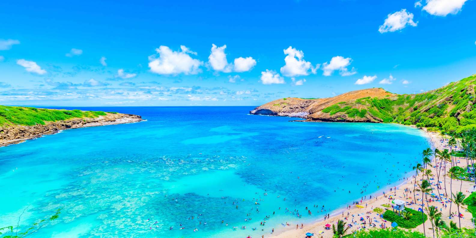 De BESTE Vulkaantours In Hanauma Bay Van 2023 GRATIS Annuleren 