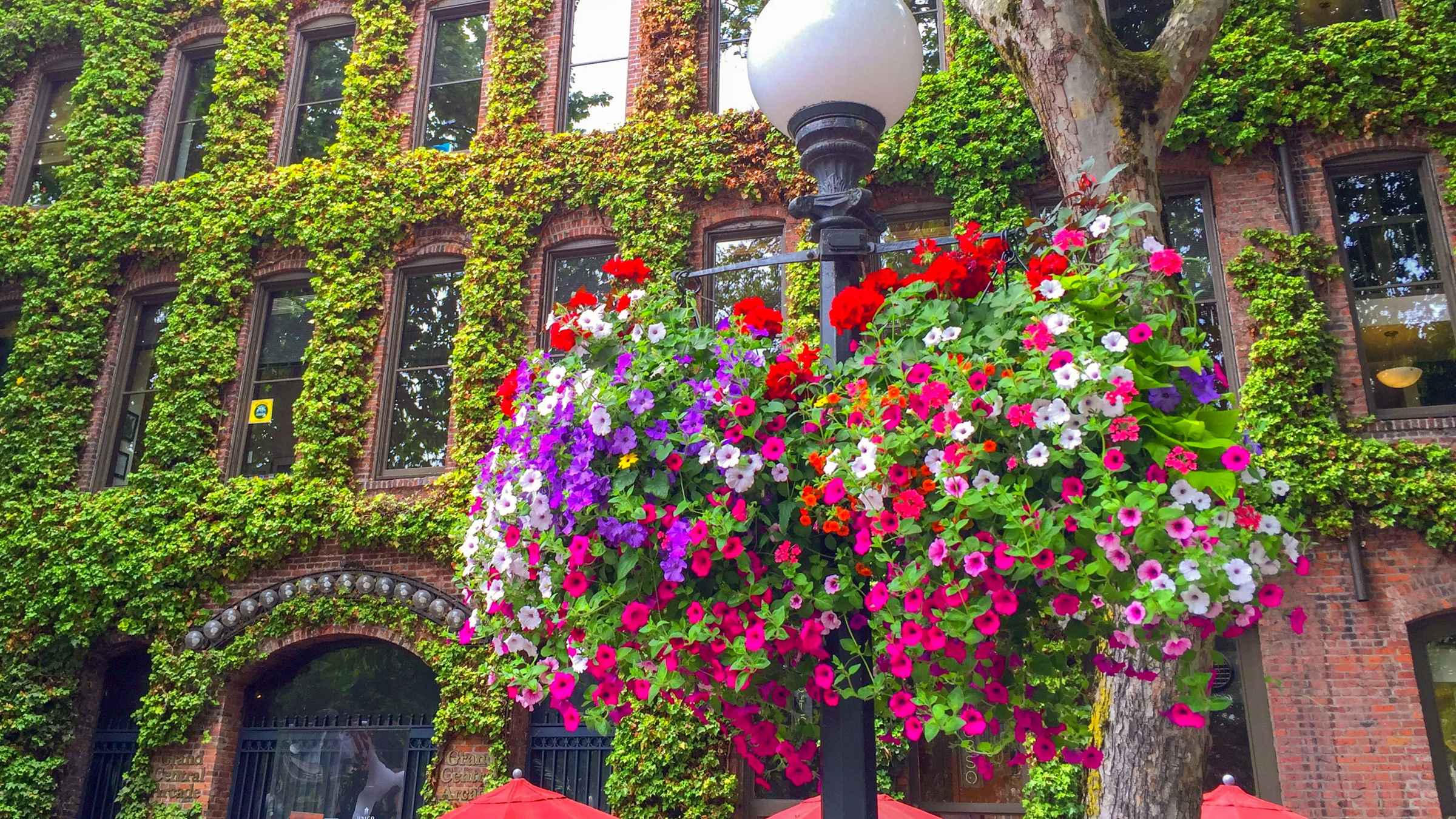Pioneer Square, Seattle, Seattle - Book Tickets & Tours