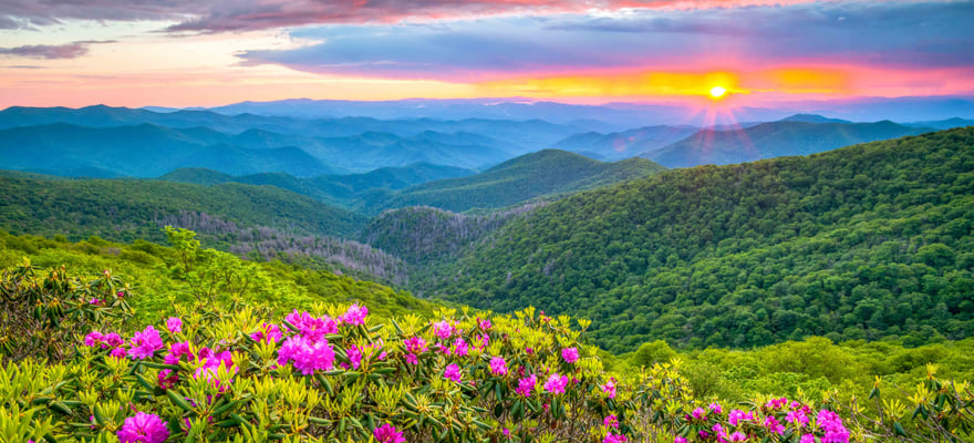The BEST North Carolina Summer activities 2024 - FREE Cancellation ...