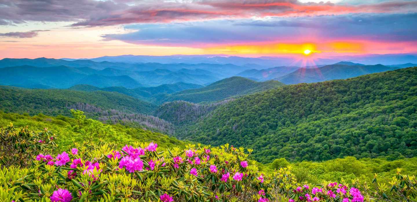 The BEST North Carolina Halloween activities 2023 - FREE Cancellation ...
