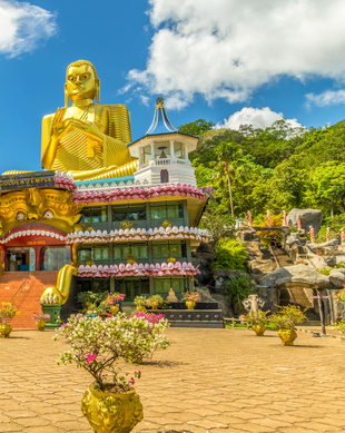 The BEST Dambulla Tours and Things to Do in 2024 - FREE Cancellation ...