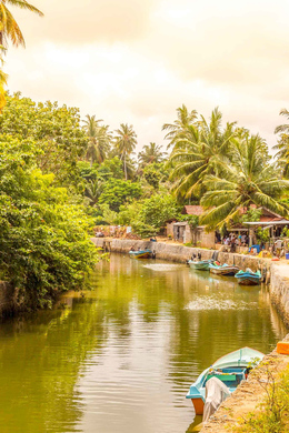 The BEST Negombo Tours and Things to Do in 2024 - FREE Cancellation ...