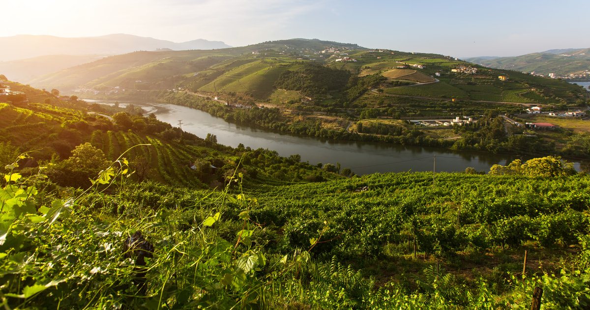 Douro-Tal 2020: Top 10 Touren & Aktivitäten (mit Fotos) - Erlebnisse in ...