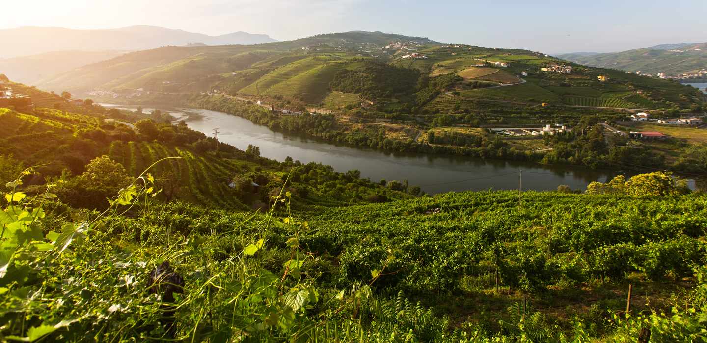 Day Trips from Douro Valley | GetYourGuide