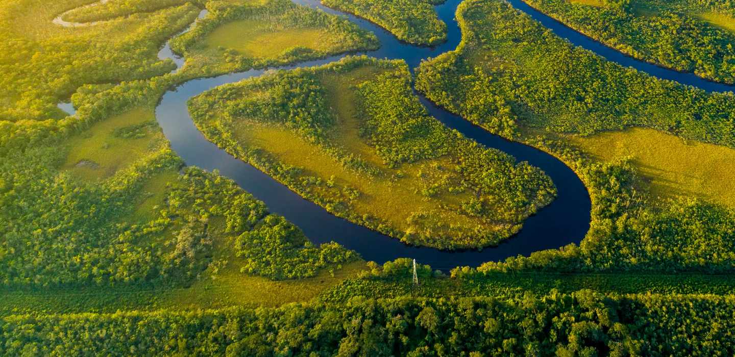 Day Trips from Amazonas | GetYourGuide