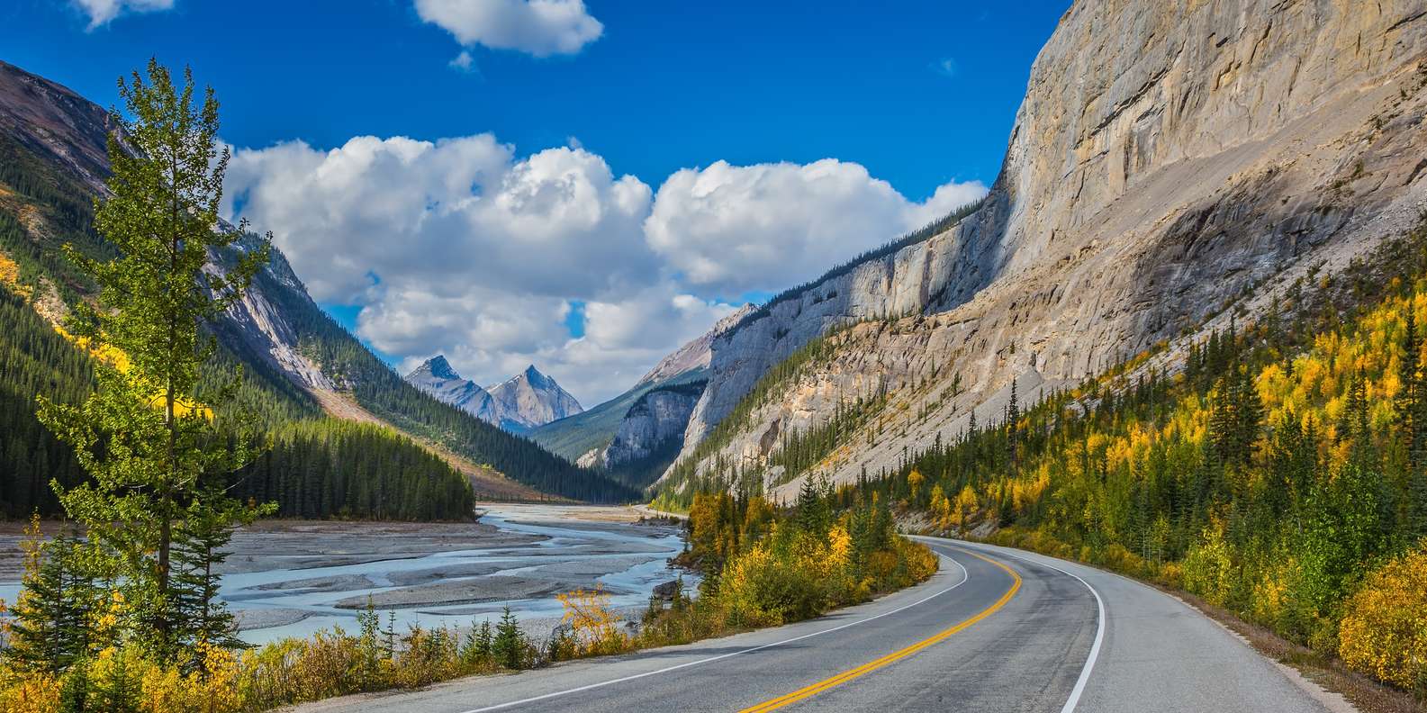 Bow Valley Parkway Tour delle cascate: il MEGLIO del 2026 ...