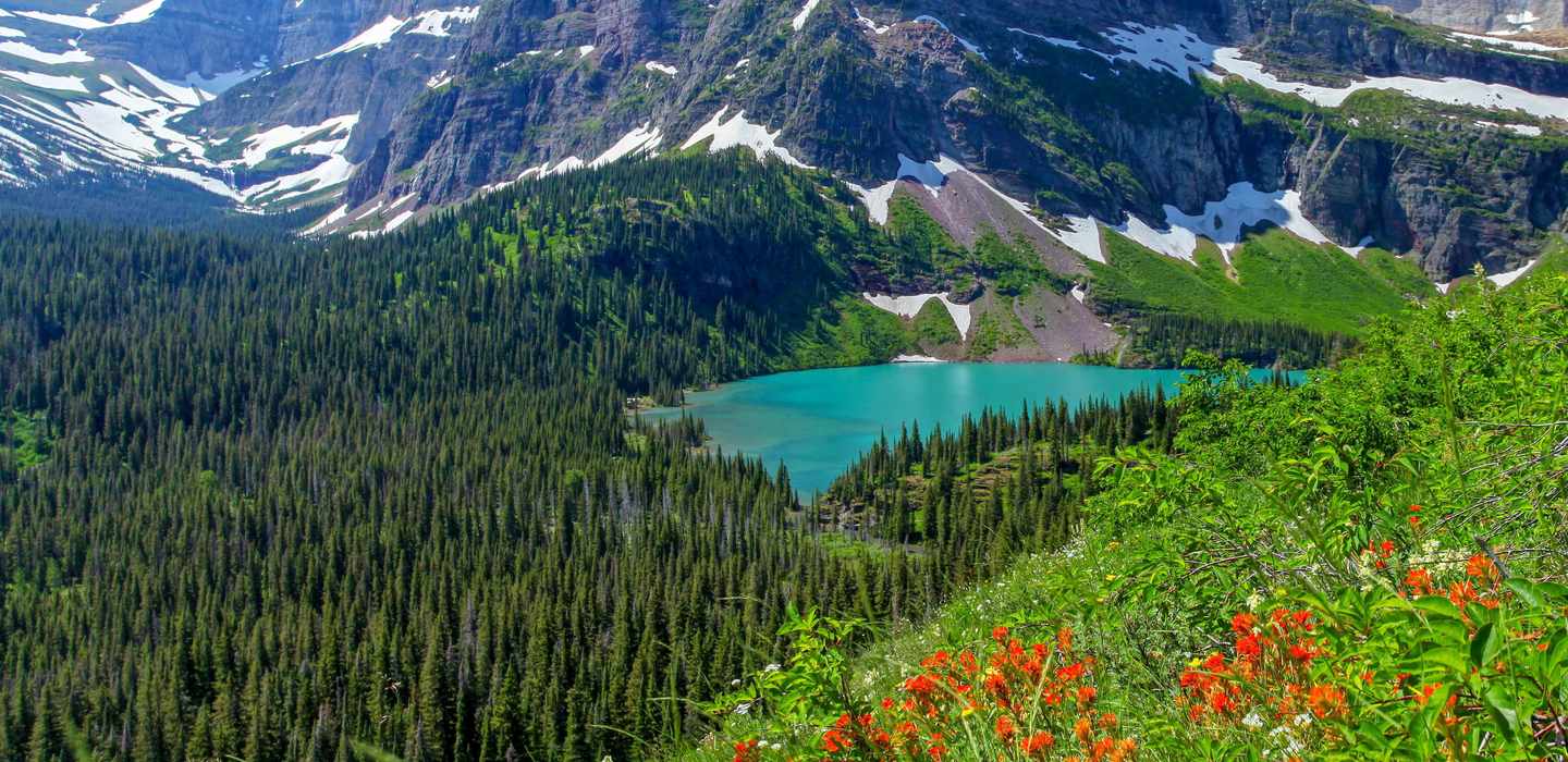 The BEST Montana National parks 2024 - FREE Cancellation | GetYourGuide