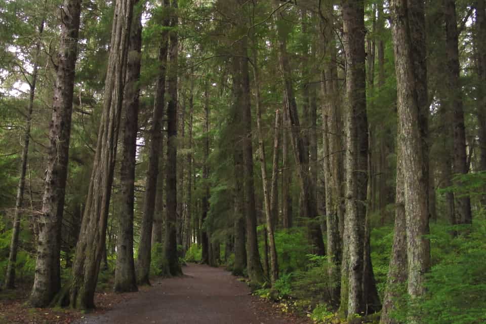 The BEST Sitka Tours and Things to Do in 2022 - FREE Cancellation ...