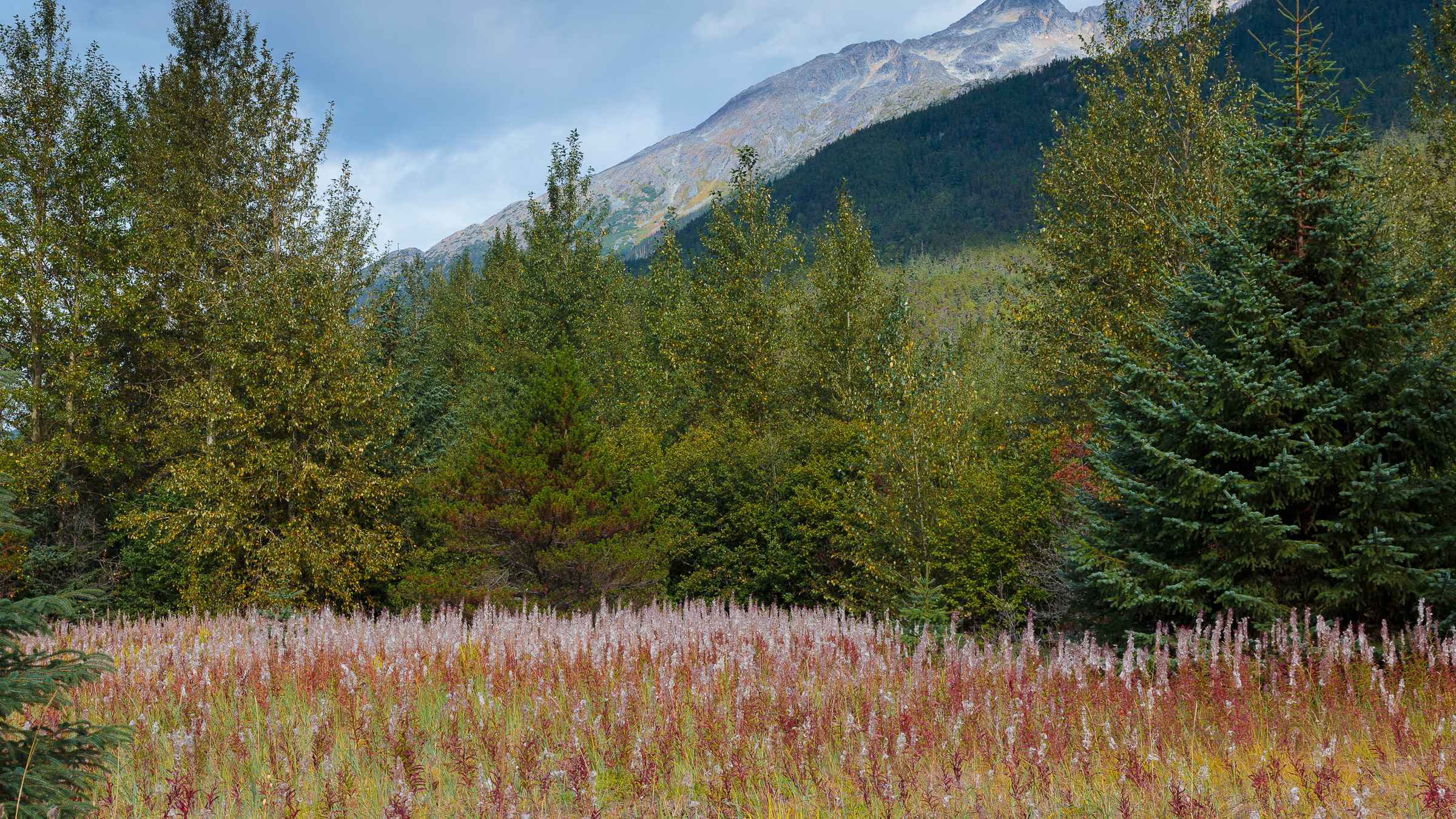 Klondike Gold Rush National Historical Park, Seattle - Book Tickets