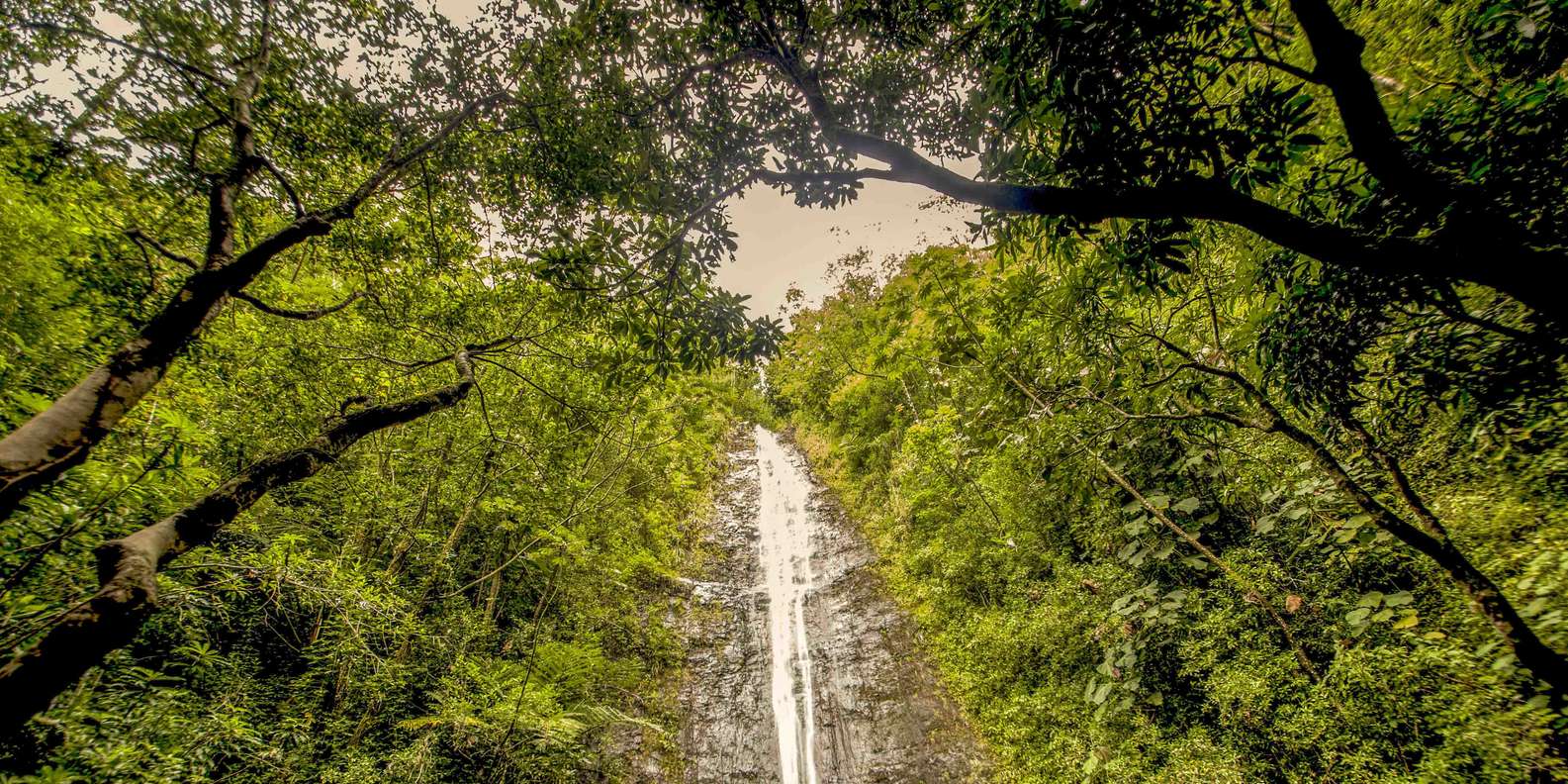 The Best Manoa Falls Landmarks And Monuments 2023 Free Cancellation
