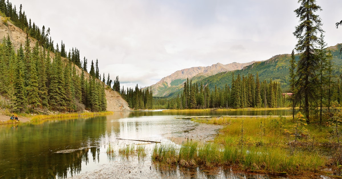 Healy 2021: Top 10 Tours & Activities (with Photos) - Things to Do in ...