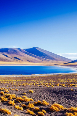 Pustynia Atacama: NAJLEPSZE wycieczki i atrakcje w 2024 r. – DARMOWA ...