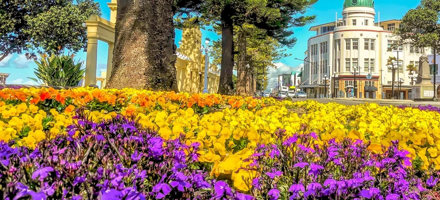 The BEST Napier Tours and Things to Do in 2024 - FREE Cancellation ...