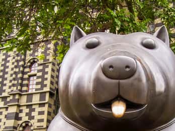 Portal del Tunal in Bogotá bezoeken? Nu tickets boeken! | GetYourGuide