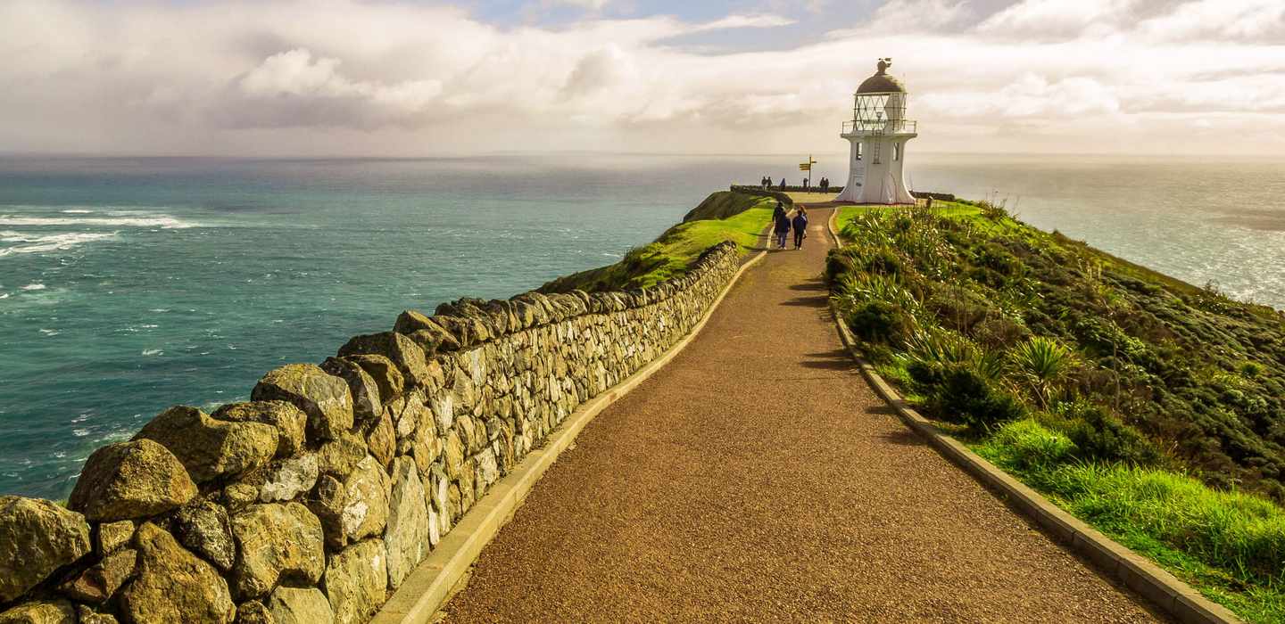 Day Trips from Northland | GetYourGuide