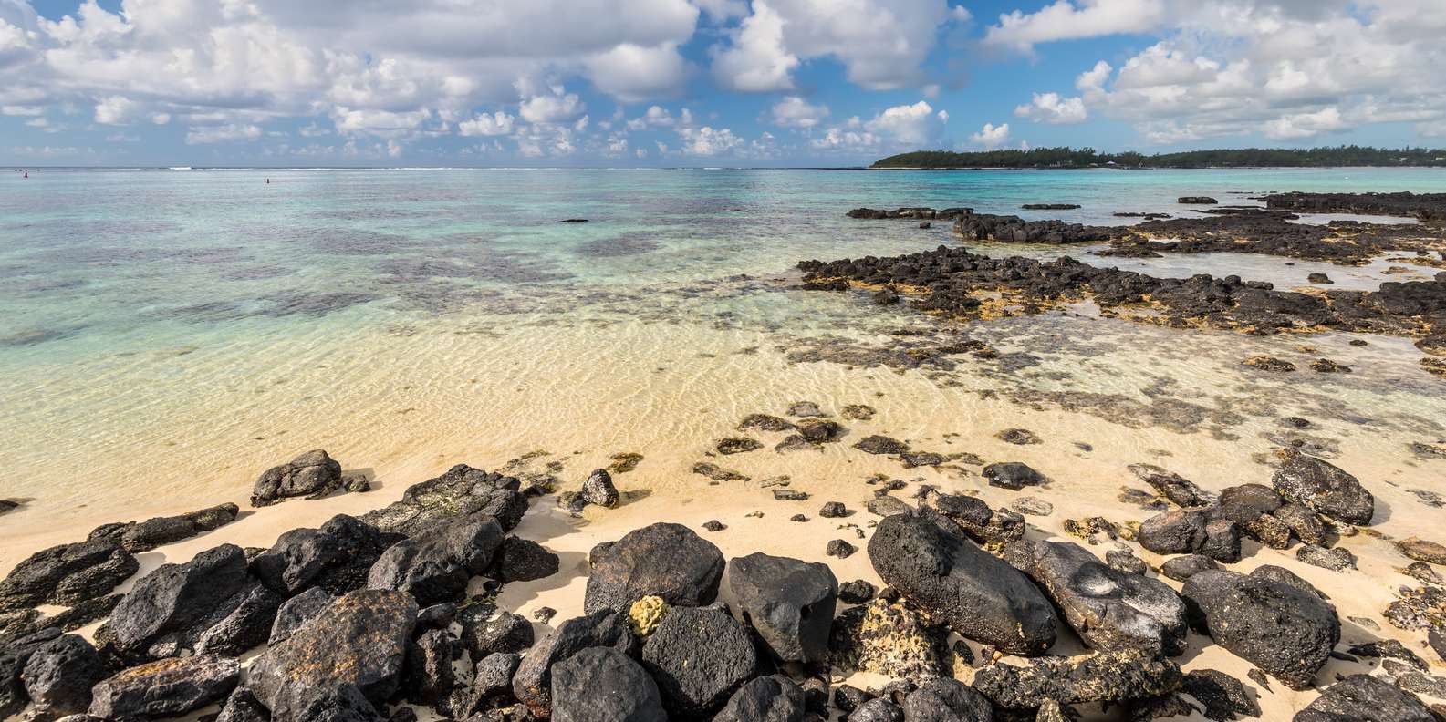 Day Trips from Blue Bay Marine Park | GetYourGuide