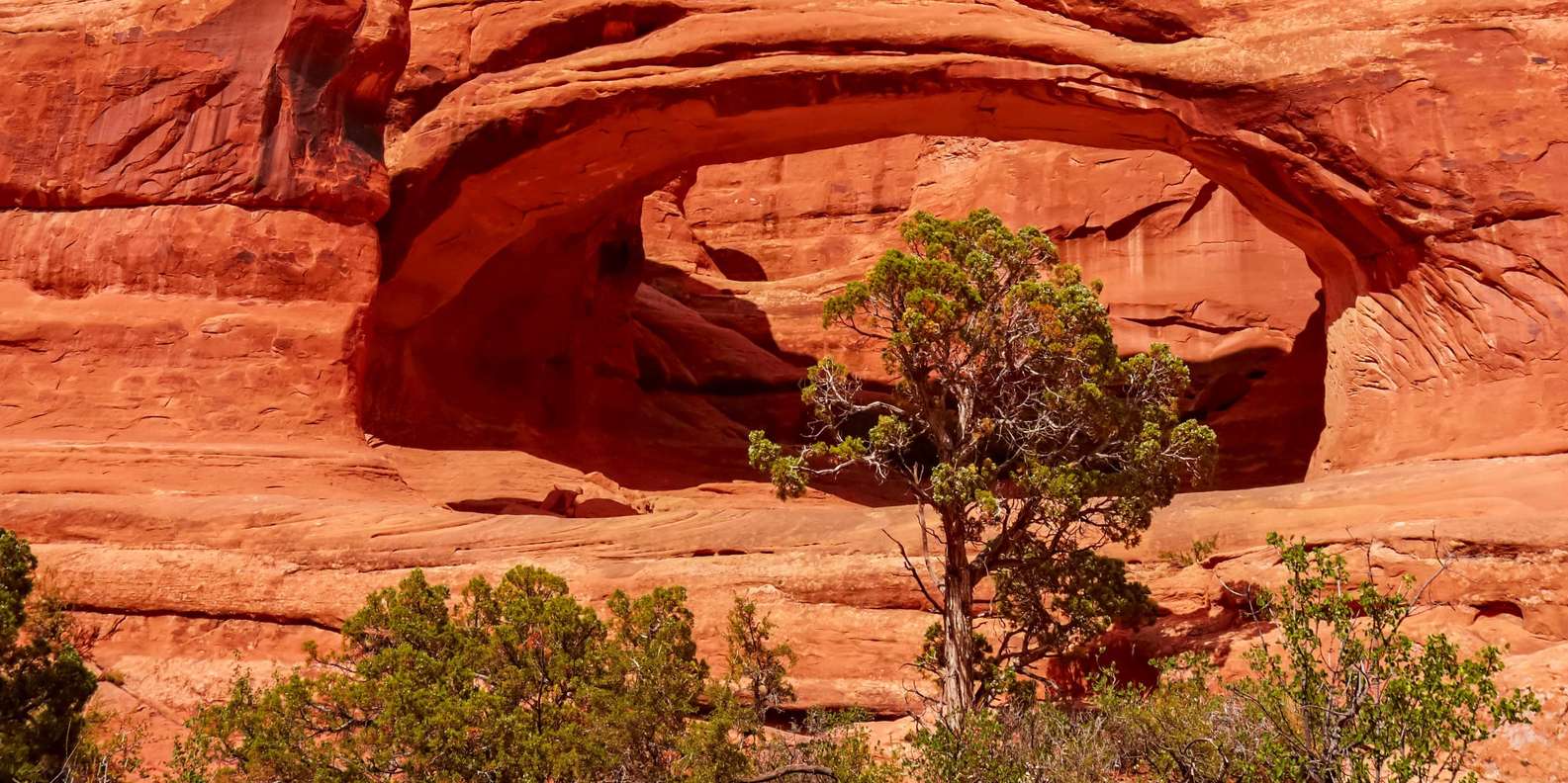 The BEST Tower Arch Spring activities 2023 - FREE Cancellation ...