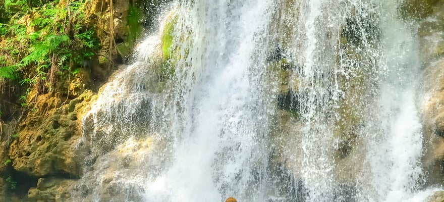 The BEST Samaná Province Summer activities 2024 - FREE Cancellation ...