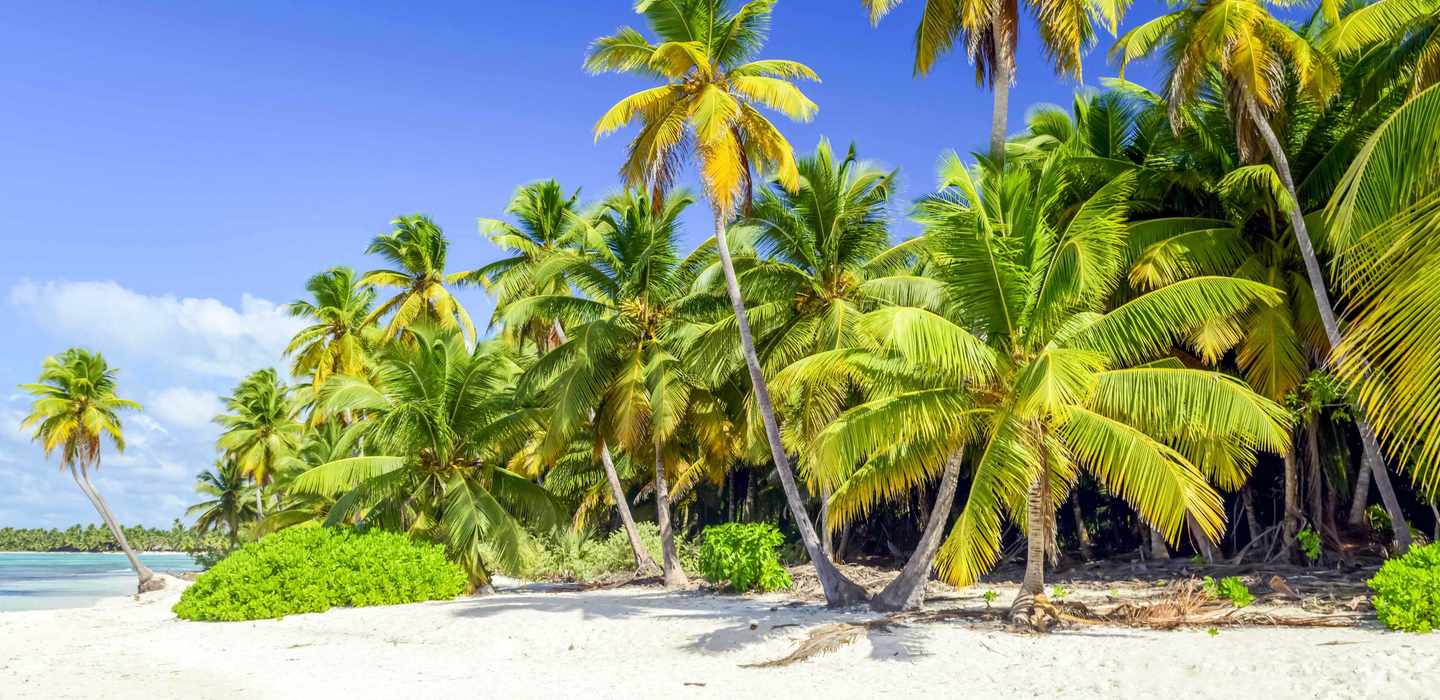 De BESTE Lente activiteiten in Las Terrenas van 2024 - GRATIS annuleren ...