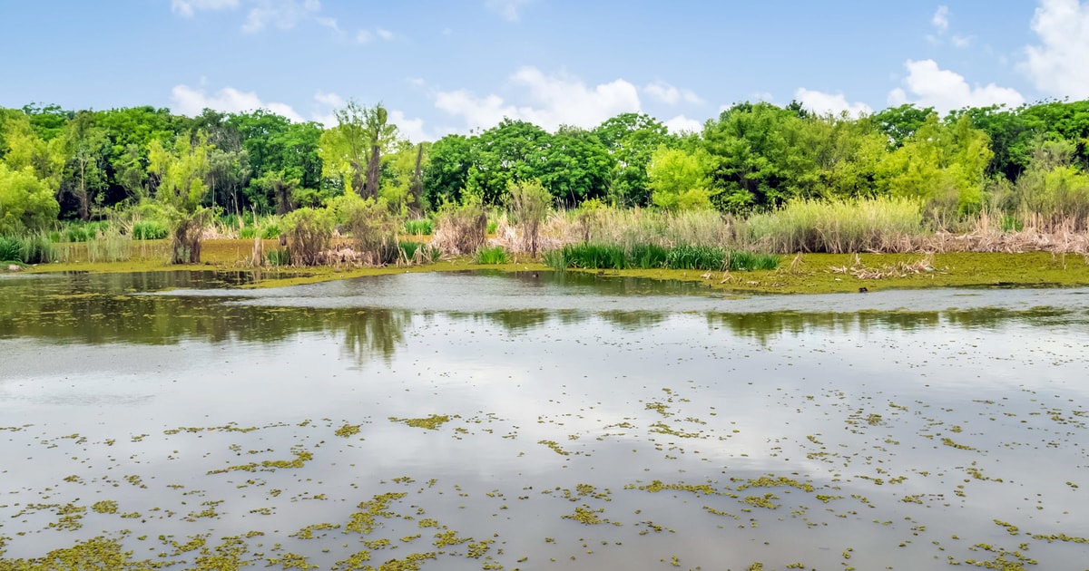 Reserva Ecologica, Buenos Aires - Book Tickets & Tours | GetYourGuide.com