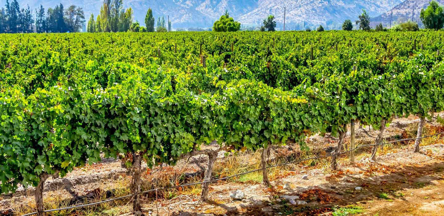 Valle del Maipo Percorsi turistici: il MEGLIO del 2024 - Cancellazione ...