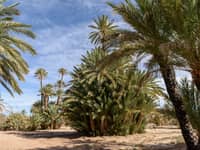 Marrakech: i MIGLIORI tour - Cose da fare nel 2024 | Cancellazione ...