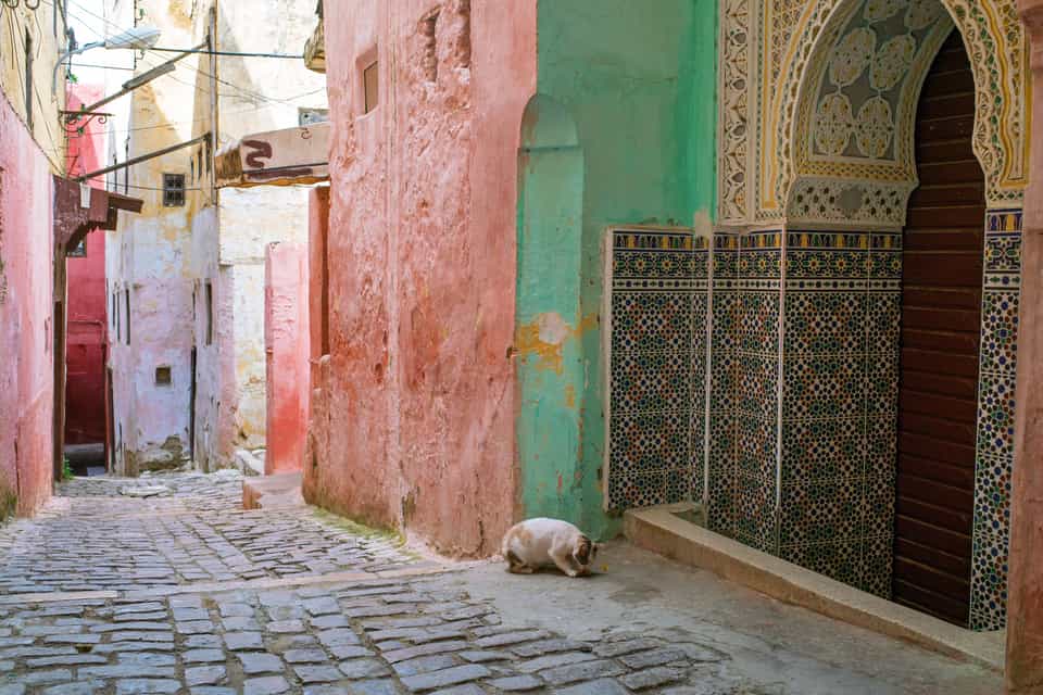 The BEST Meknes Tours and Things to Do in 2022 - FREE Cancellation ...