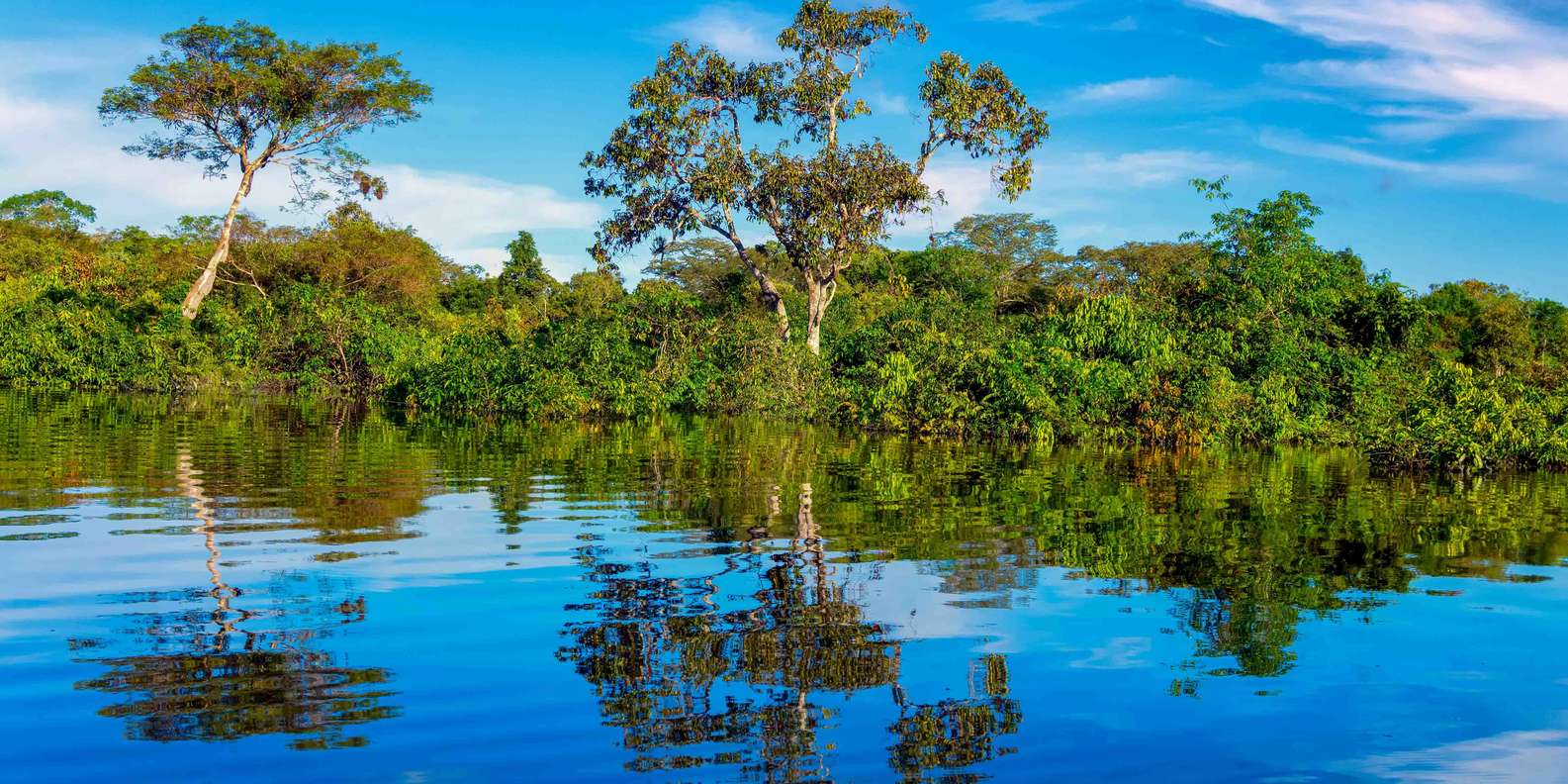 The BEST Amazon River Water activities 2023 - FREE Cancellation ...