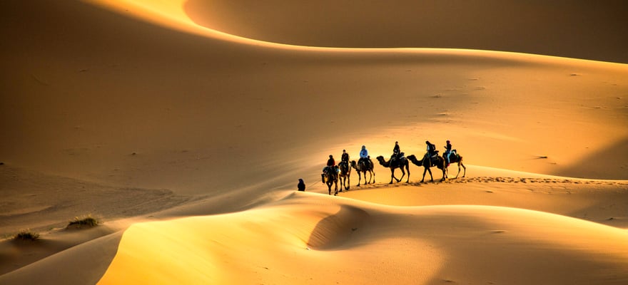 The BEST Sahara Desert, Morocco Activities 2024 - FREE Cancellation ...