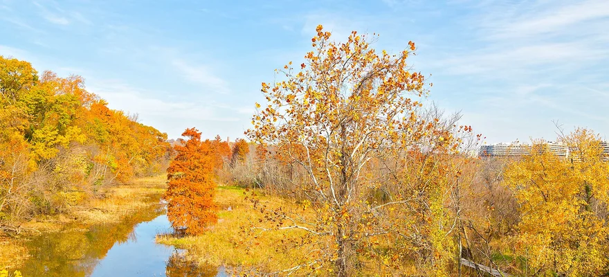Theodore Roosevelt Island, Washington, DC - Book Tickets & Tours ...