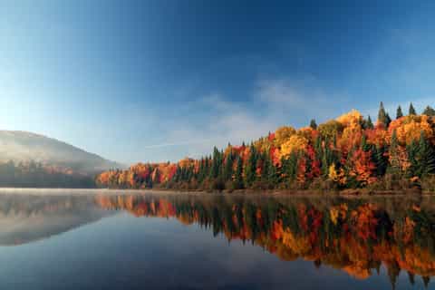 The BEST Quebec Tours and Things to Do in 2026 - FREE Cancellation ...