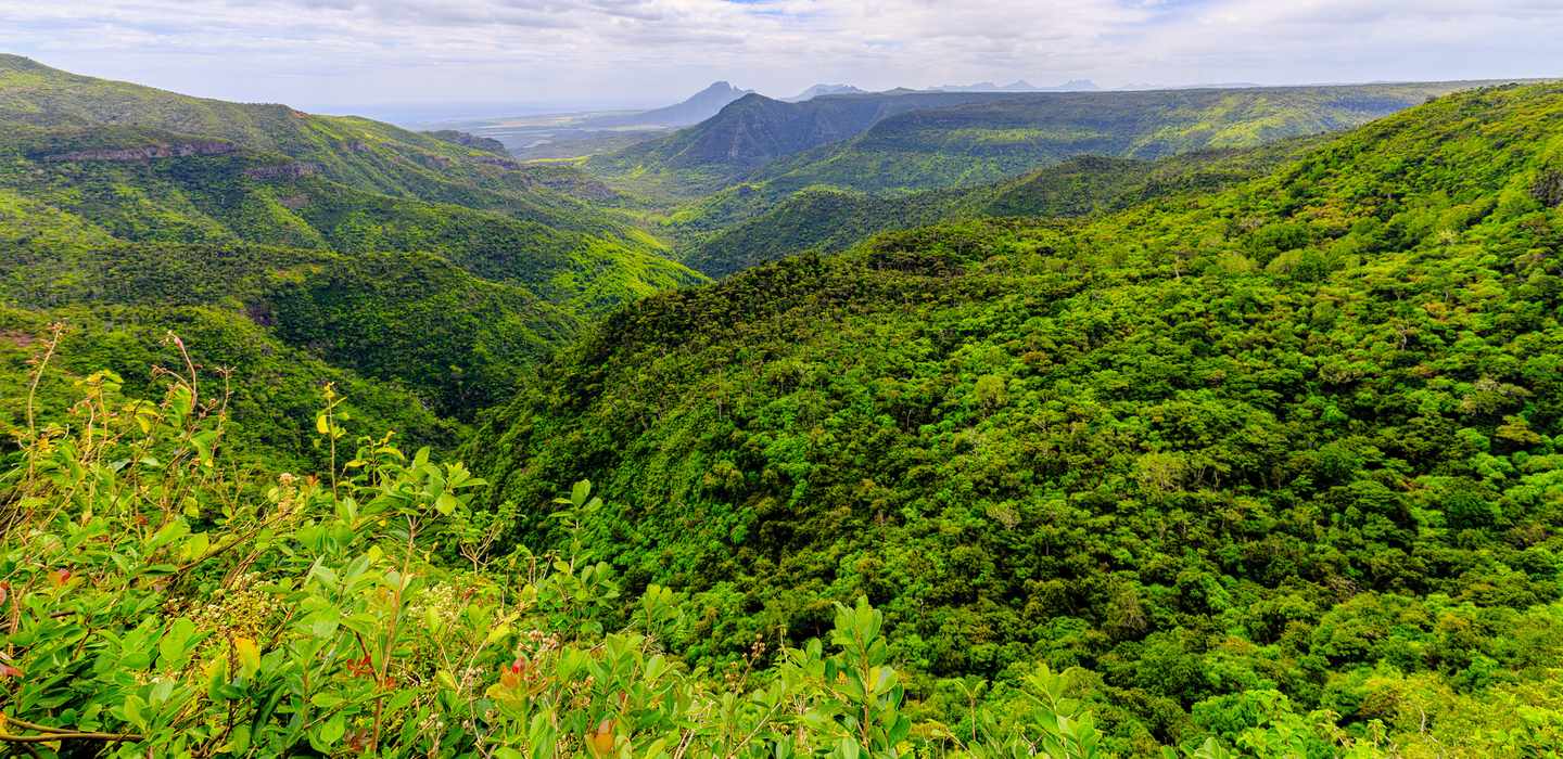 The BEST Grand Port District Summer activities 2023 - FREE Cancellation ...