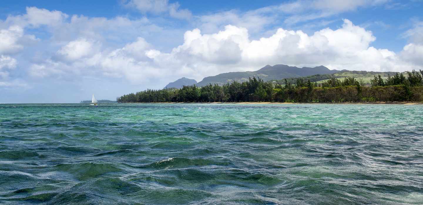 The BEST Savanne District Sightseeing 2024 - FREE Cancellation ...