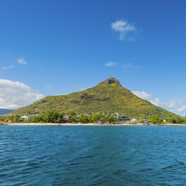 The BEST Tamarin Tours and Things to Do in 2023 - FREE Cancellation ...