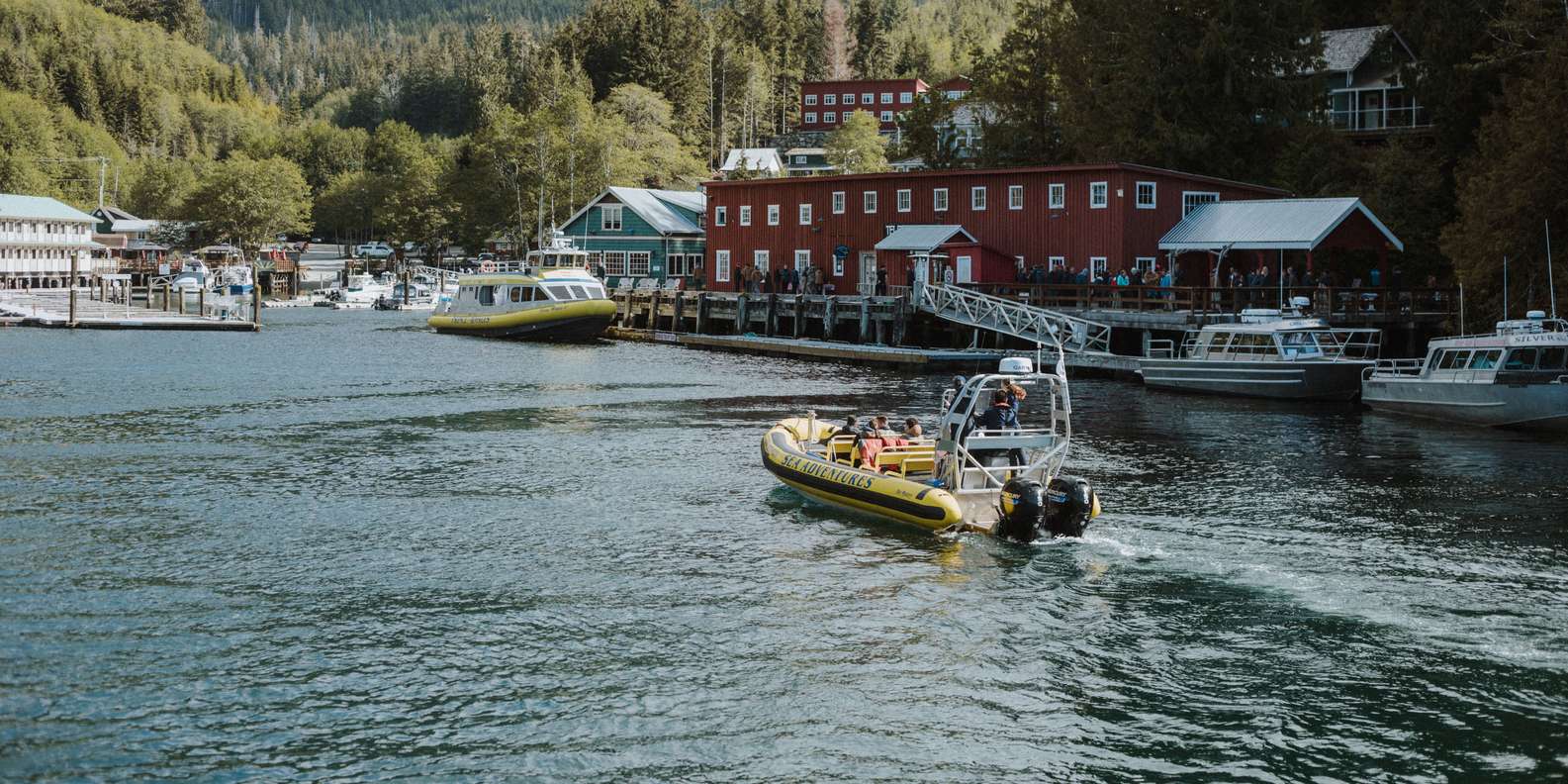 Telegraph Cove Activités _ LES 10 MEILLEURES choses à faire à Telegraph ...
