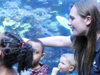 The BEST Atlanta Tours and Things to Do in 2024 - FREE Cancellation ...