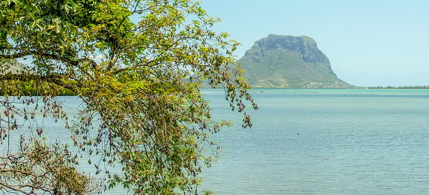 The BEST Case Noyale Tours and Things to Do in 2024 - FREE Cancellation ...