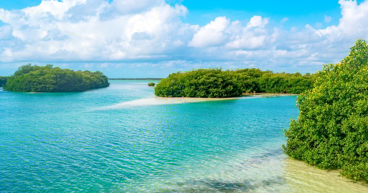 Sian Ka'an, - Reserva de entradas y tours | GetYourGuide.es