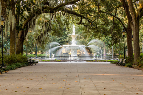 The BEST Things to Do in Savannah - Top Activities in 2026 | GetYourGuide