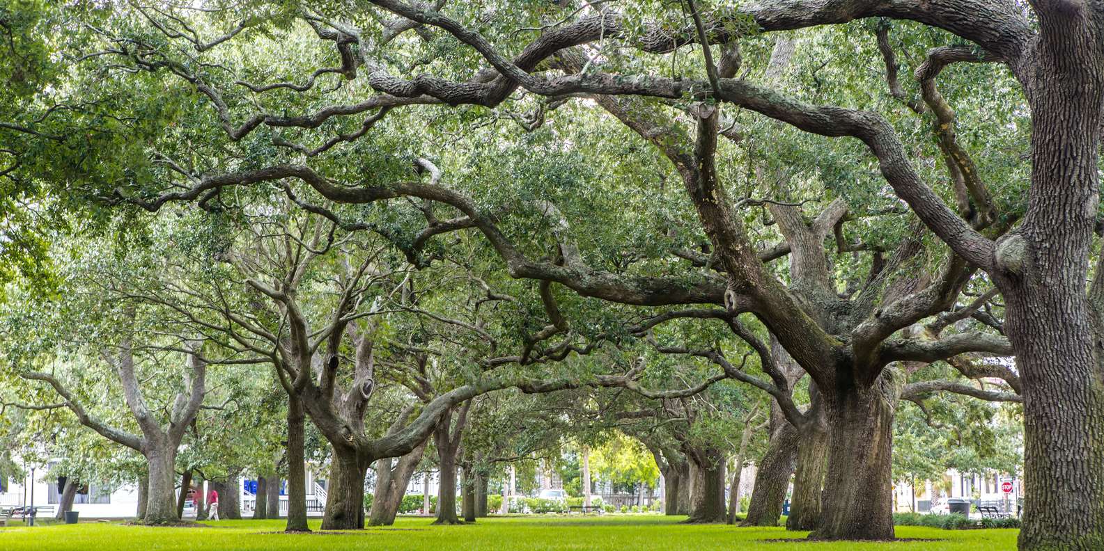 White Point Garden, Charleston - Reserva de entradas y tours | GetYourGuide