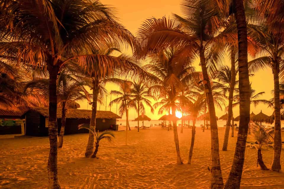 The BEST Things to Do in Oranjestad - Top Activities in 2024 | GetYourGuide