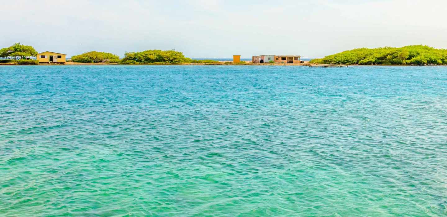 BESTE Schnorcheln Savaneta 2024 – KOSTENLOS stornierbar | GetYourGuide