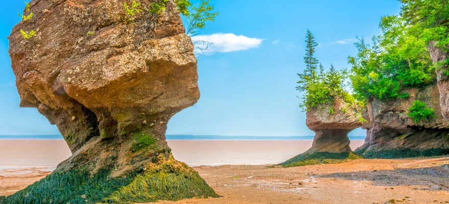 Bay Of Fundy