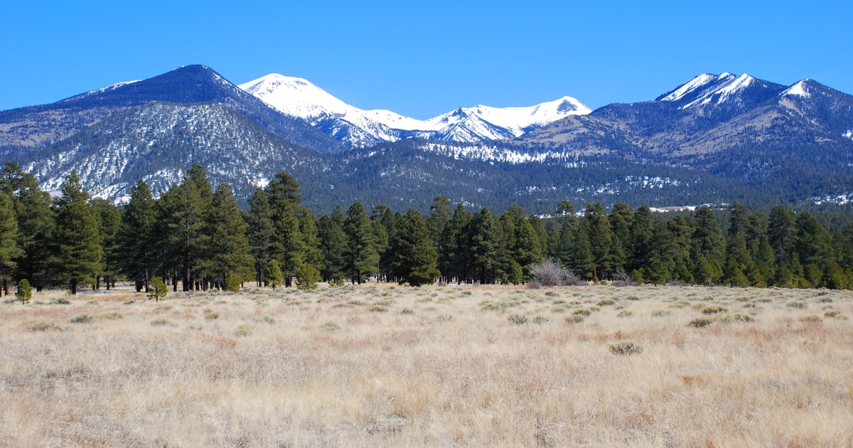 Flagstaff 2020: Top 10 Tours & Activities (with Photos) - Things to Do ...