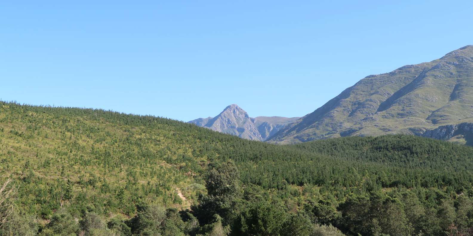 Marloth Park, Mpumalanga - Reserva de entradas y tours | GetYourGuide