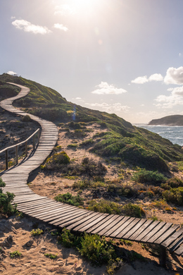 The BEST Plettenberg Bay Tours and Things to Do in 2024 - FREE ...