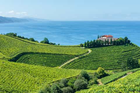 The BEST Basque Country Churches & cathedrals 2025 - FREE Cancellation ...