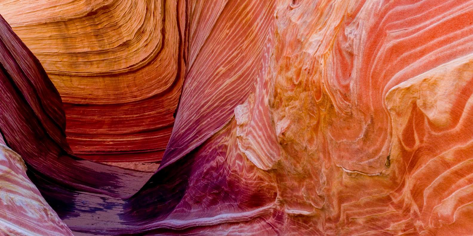 Day Trips from Paria Canyon-Vermilion Cliffs Wilderness Area | GetYourGuide
