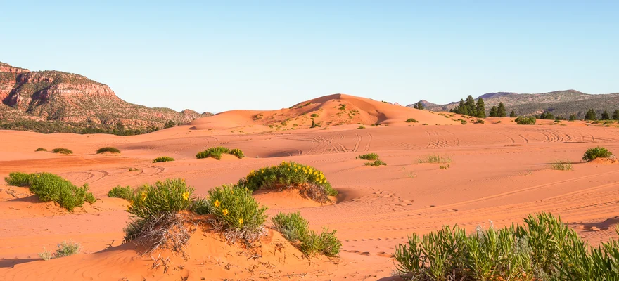 Coral Pink Sand Dunes State Park, Kanab - Book Tickets & Tours ...